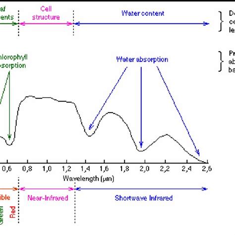13 Spectral Response Characteristics Of Green Vegetation Chlorophyll