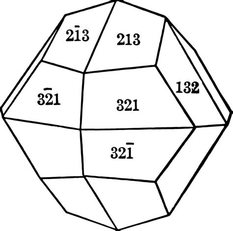 Diploid Vintage Illustration 35072312 Vector Art At Vecteezy