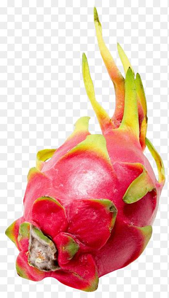 레드 벨벳 케이크 프로스팅 And 아이싱 생식품 색칠 피 타야 용 과일 기타 자연 식품 Png Pngegg