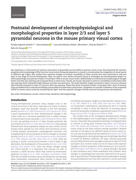 Pdf Postnatal Development Of Electrophysiological And Morphological Properties In Layer 23