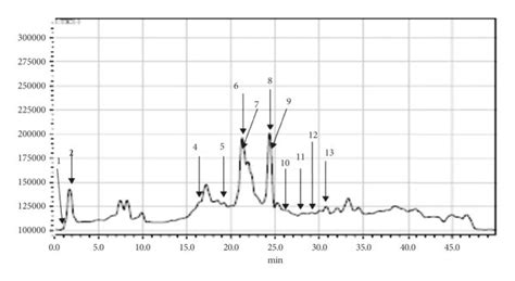 Hplc Chromatograms Of The Phenolic Compounds Of The Extracts Obtained