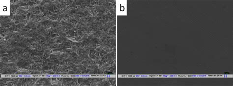 SEM Image Of A Unpolished Silicon Wafer B Polished Silicon Wafer Download Scientific Diagram