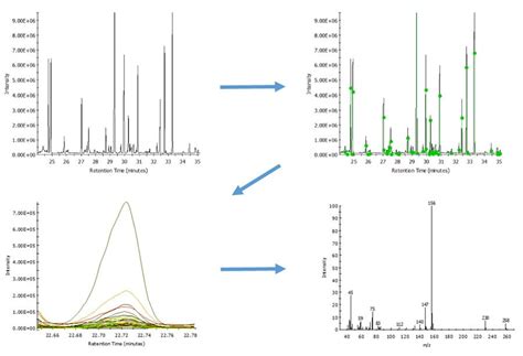 An Automated Metabolomics Data Processing Workflow To Distinguish Metabolite Profiles