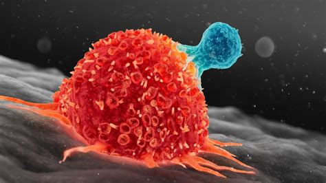 Defining The Next Generation Of Immune Oncology Cell Therapy