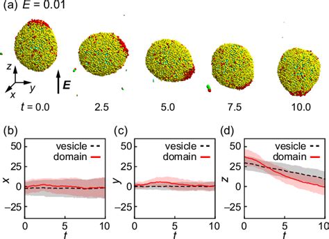 Figure 1 From Lateral Transport Of Domains In Anionic Lipid Bilayer Membranes Under Dc Electric