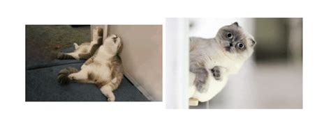 Hover To Affect Sibling Elements I Recently Wanted To Implement A Style By Andy Kelso Medium