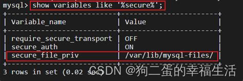 8mysql之sql优化（insert 优化，主键优化，页分裂，页合并，order By优化，group By优化，limit 优化