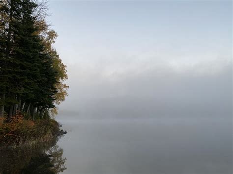 Misty Lake Mist - Free photo on Pixabay - Pixabay