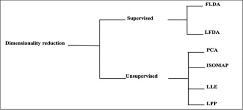 Classification Of Dimensionality Reduction Methods 6 Download