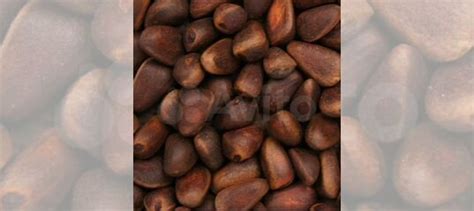 Кедровый орех в скорлупе купить в Кемерово Товары для дома и дачи Авито