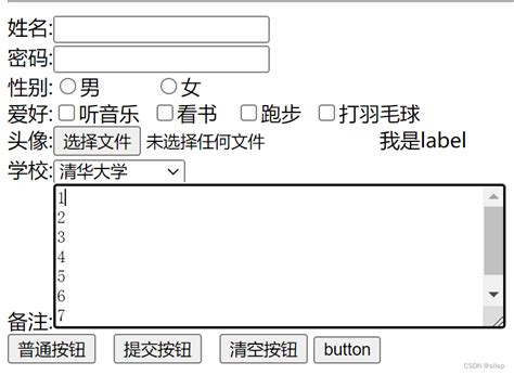 Html 中的常用标签用法html标签大全及用法 Csdn博客