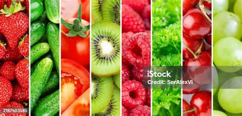 과일과 채소 혼합 과일과 야채의 배경과일과 야채 혼합 과일과 야채의 배경 0명에 대한 스톡 사진 및 기타 이미지 0명 개념 개념과 주제 Istock