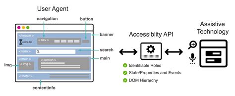 Refinebio Refactoring And Web Accessibility