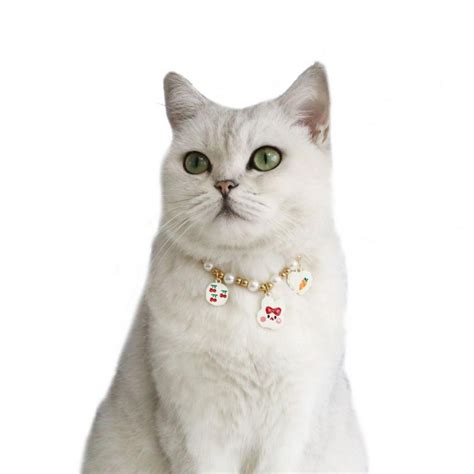 Badu Bg Дълготрайна екологична лесна за носене огърлица за домашни любимци Очарователен външен