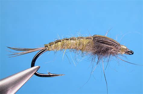 Bwo Nymph