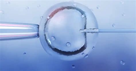 Foshnja E Parë Me Tre Prindër Lind Në Mbretërinë E Bashkuar