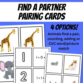 Partner Pair Up Cards Animals Pairs Counting Addition Problems And