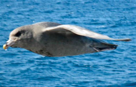 Blog 6 72910 Noaa Teacher At Sea Blog Blog 6 72910 Noaa Teacher At Sea Blog