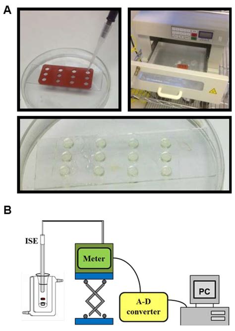 Polymers Special Issue Biomimetic Polymers
