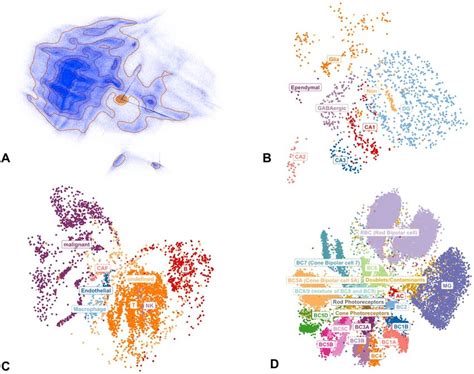 Structure Preserving Dimensionality Reduction Of Single Cell