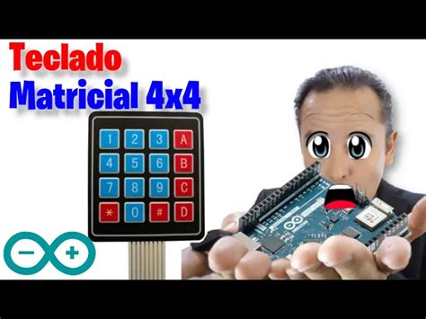 Programador Novato