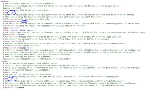 Address Already In Use Rgeysermc