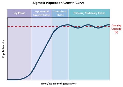 Dispersal Modelling Workflow Overview Biosecurity Commons Support Portal