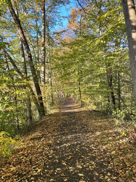 Networking Unplugged Facebook