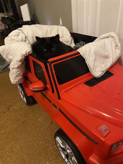 Goodluck Kitty For Happy Thoughts Raww