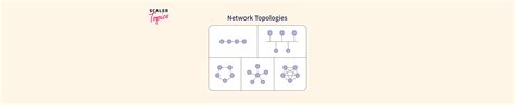Types Of Network Topologies Scaler Topics