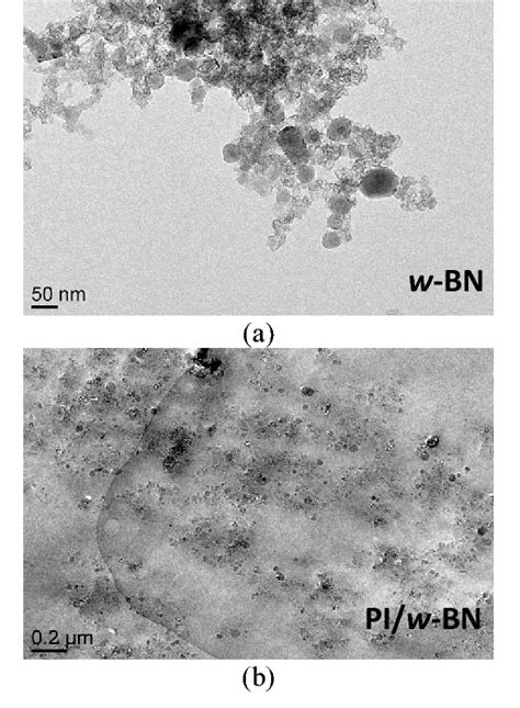 Figure 1 From Electrical Conduction In Polyimidebn Nanocomposites