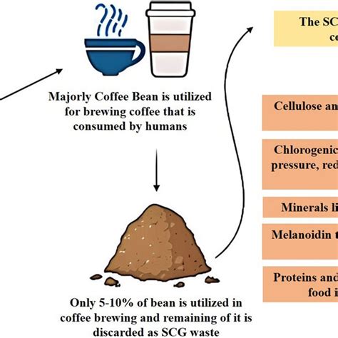A General Overview Of The Production Of Spent Coffee Grounds Scg