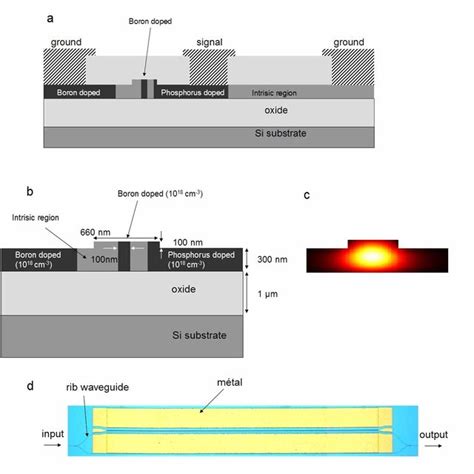 Pdf Low Loss And High Speed Silicon Optical Modulator Based On A Lateral Carrier Depletion