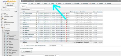 Steps To Manually Migrate WordPress Site ScriptWriterPH