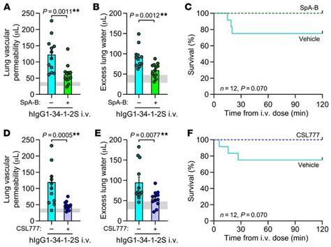 Jci Igg Hexamers Initiate Complement Dependent Acute Lung Injury