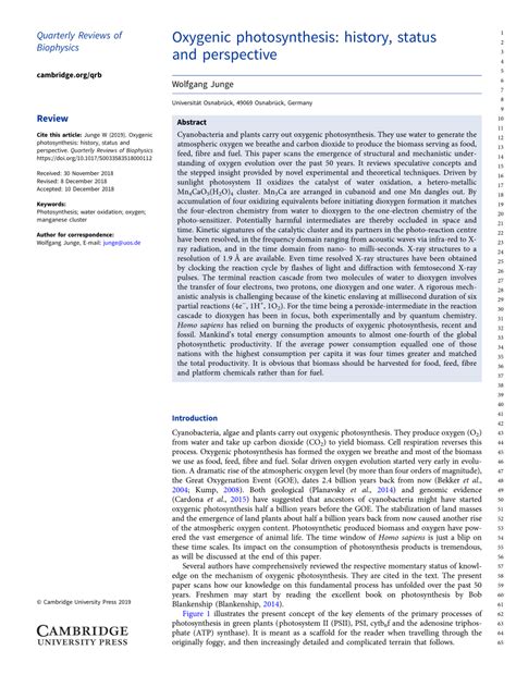 Pdf Oxygenic Photosynthesis History Status And Perspective