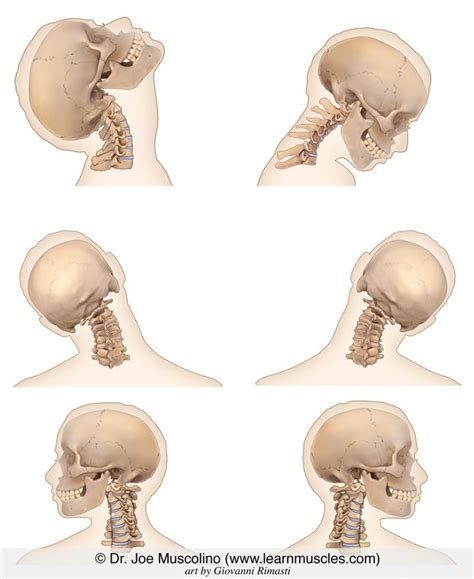 Cervical Rom Exercises Chiropractic Forge Chiropractic