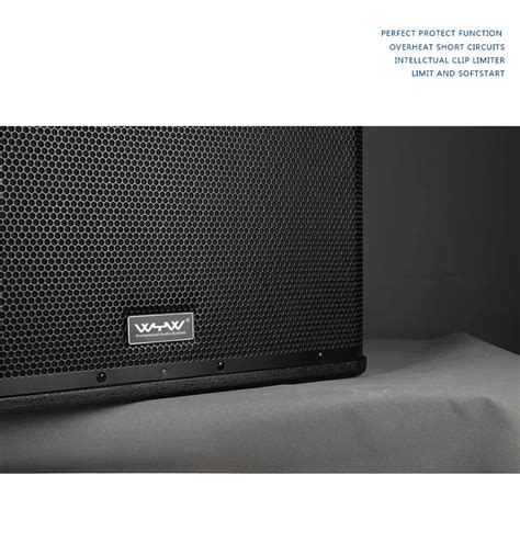 Watts Class D Digital Active Subwoofer Speaker Buy Watts Speaker Digital Speaker