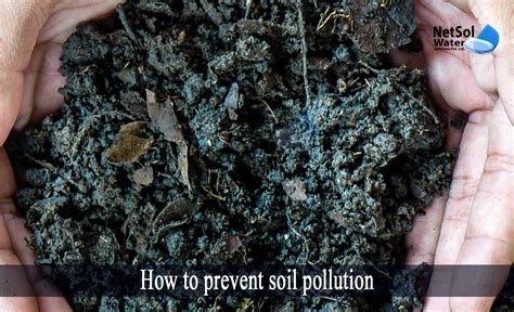 Top 999 Soil Pollution Images Amazing Collection Soil Pollution