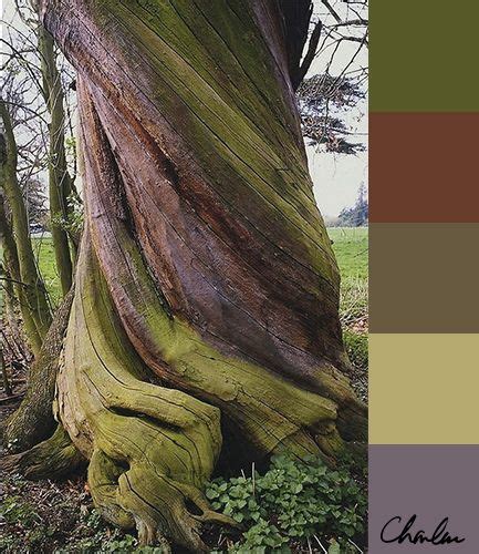 Tree Color Palette Ocean Hues Color Palette Color Harmony