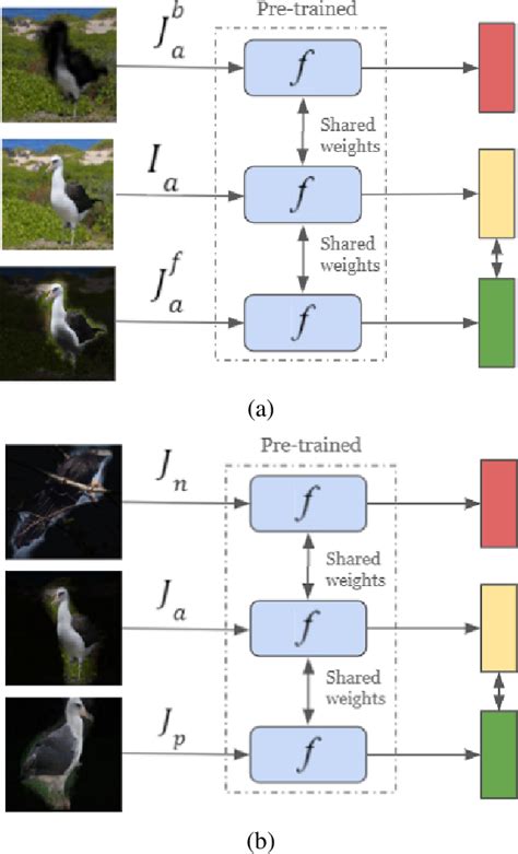 Figure From Learning A Weight Map For Weakly Supervised Localization Semantic Scholar