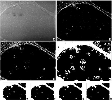 figure 1 from chapter 2 automated carbon masking and particle picking