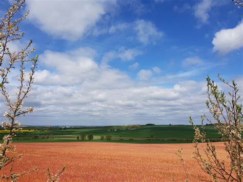 Great Chesterford