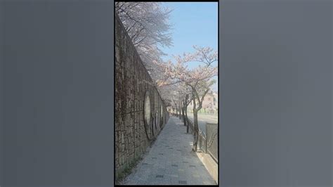 천상세계로 가는 길~~ Youtube