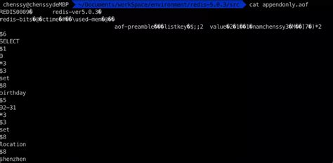 Redis 持久化 Redis 持久化 待完善 SQL 极客文档