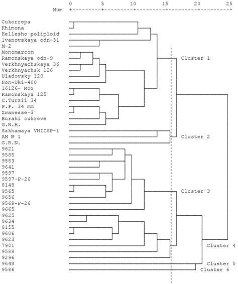 a dendrogram showing the genetic similarity among 42 sugar beet