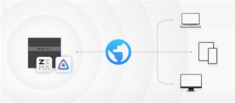 access jellyfin and more remotely using tailscale zerotier or