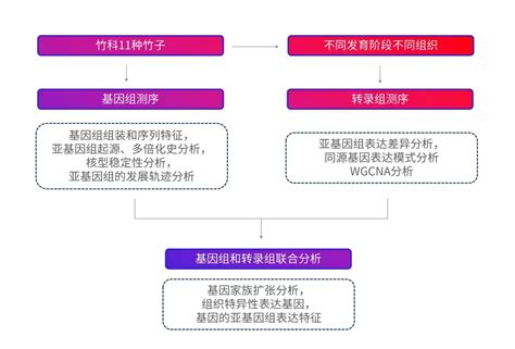 解码绿色生命：植物多组学测序研究思路解析 知乎