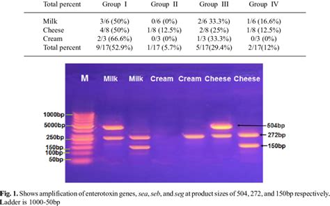 Shows The Groups Of The Isolates Based On The Agr System Genotyping Download Table