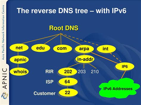 Ppt Reverse Dns Powerpoint Presentation Free Download Id504564